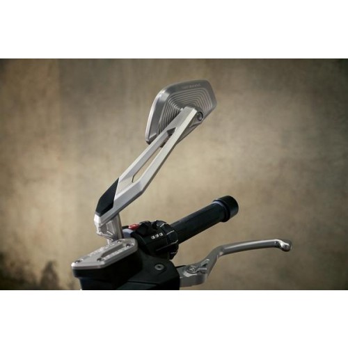 BMW F 900 R option 719 silver mirrors